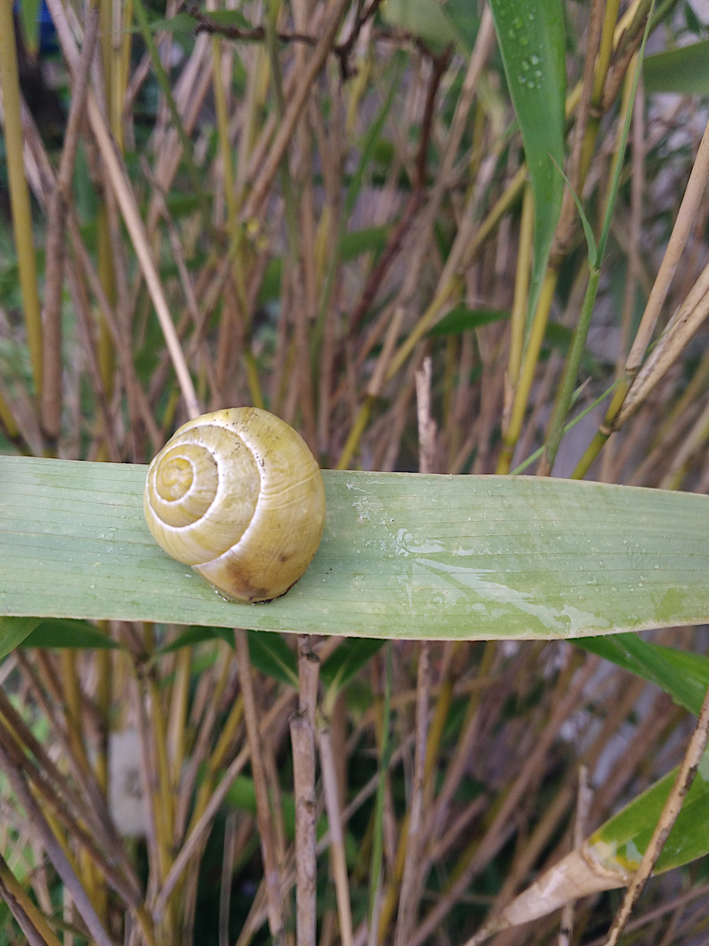 Traversée – pause | L'espace Lune